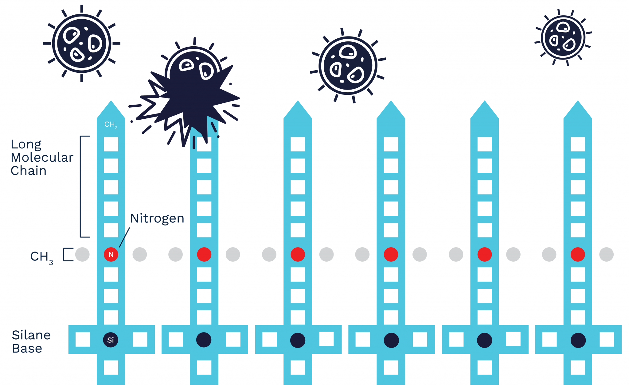 ZOONO Science | Zoono Anti-Microbial Solutions